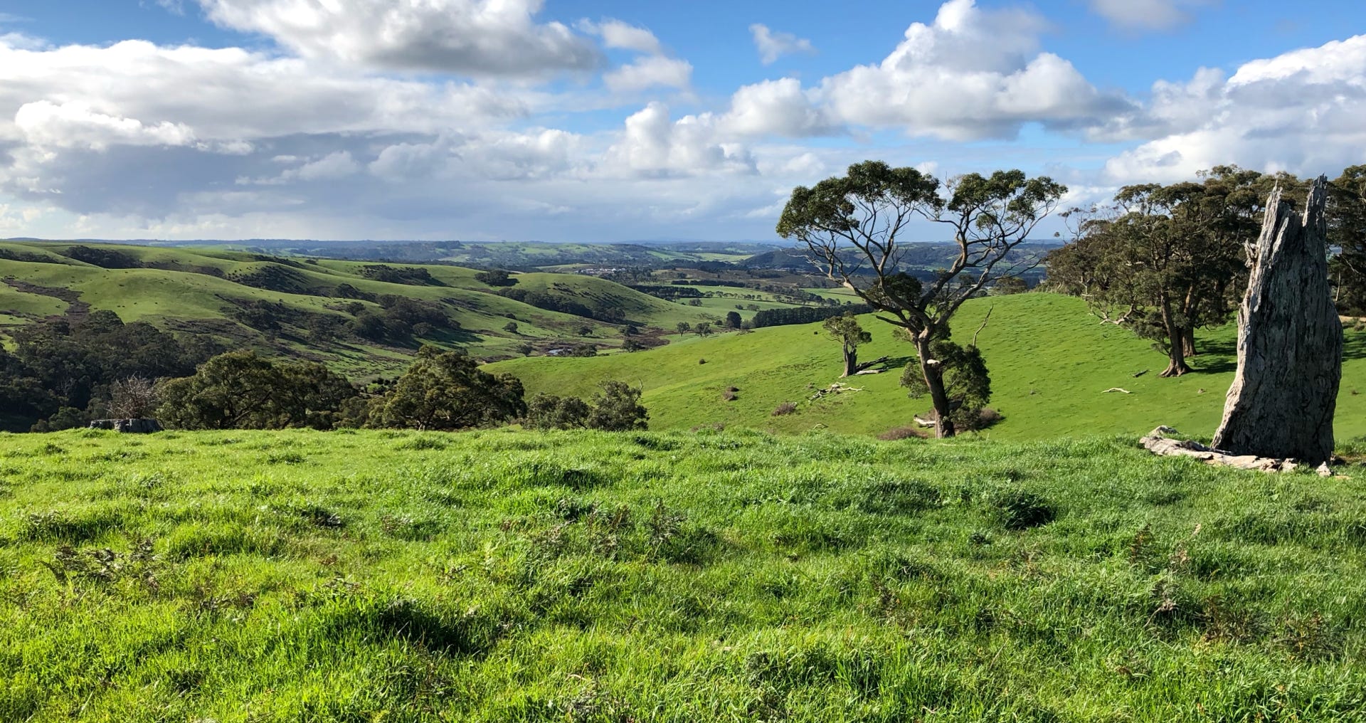 home [mountcompass.org]